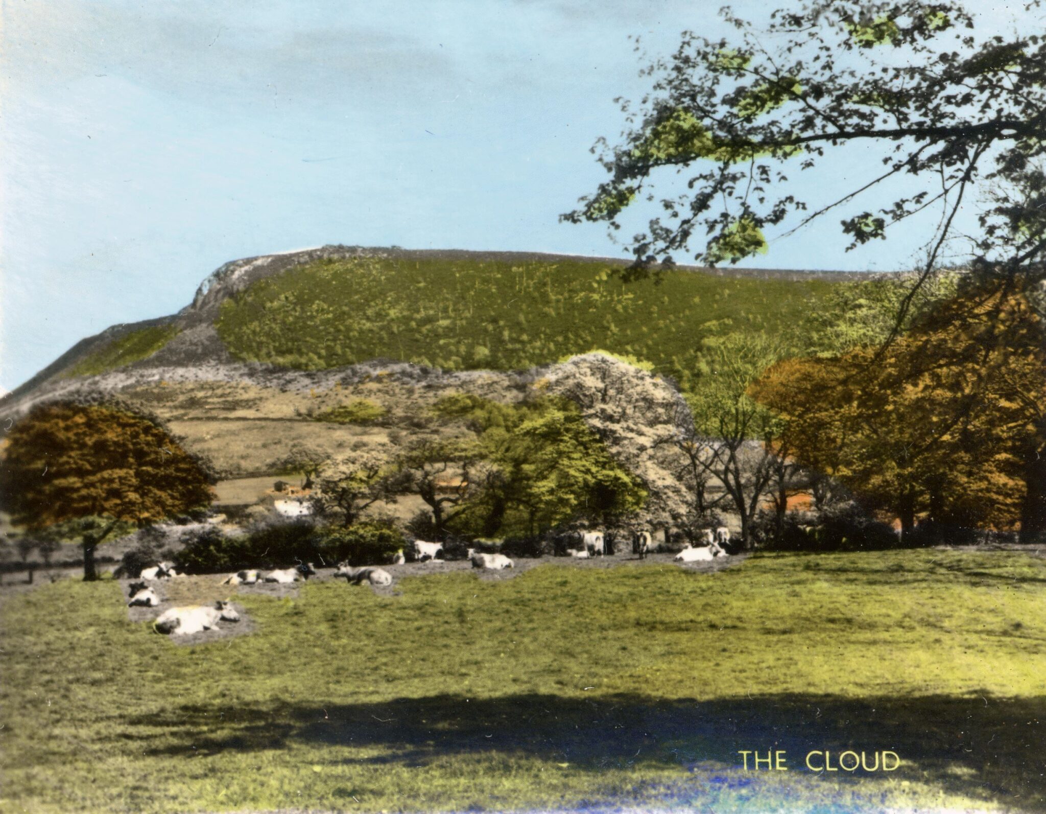 Ultimate Explorers - Three Walking Routes - Congleton Museum