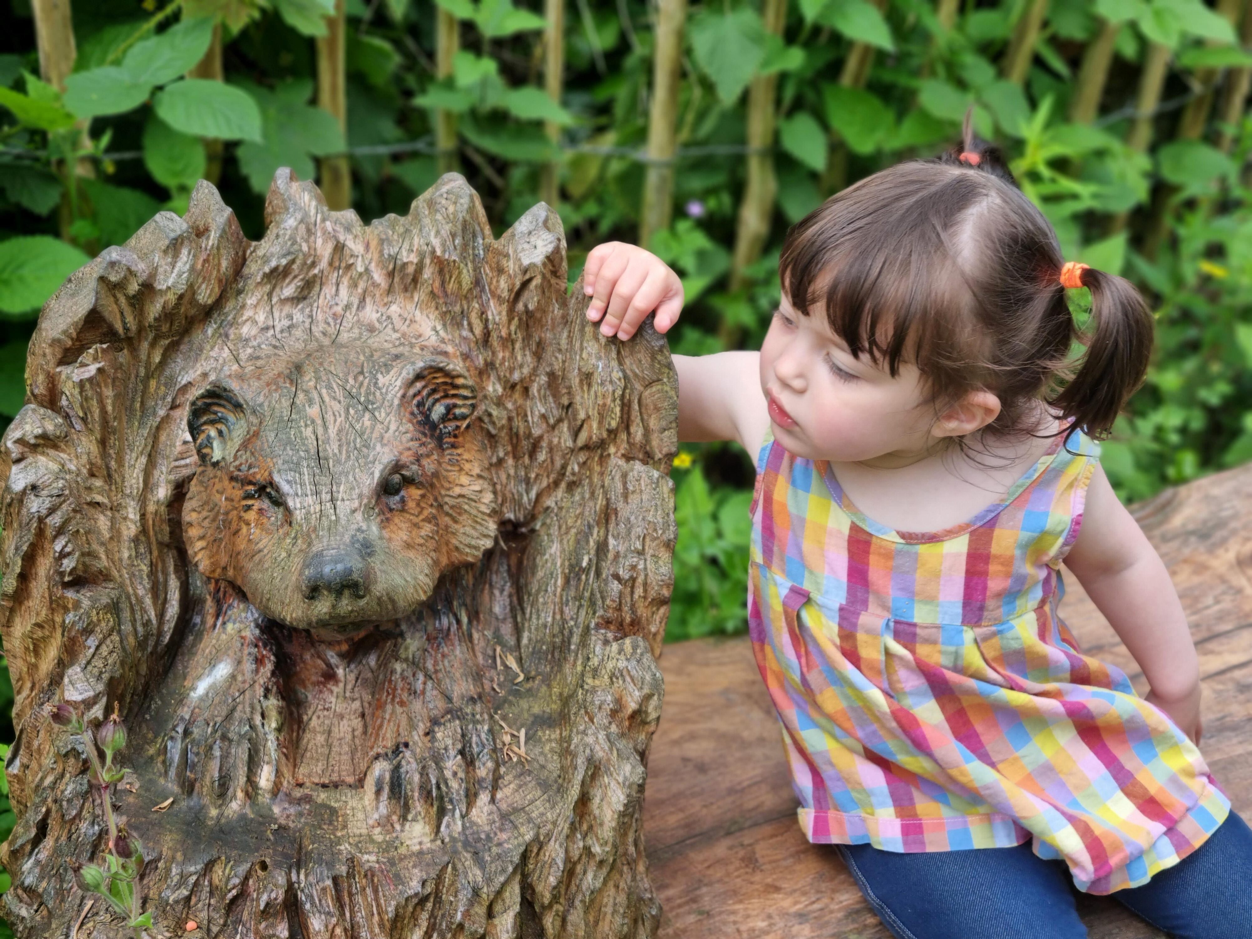 Nature and Vegetation Trail - Congleton Museum
